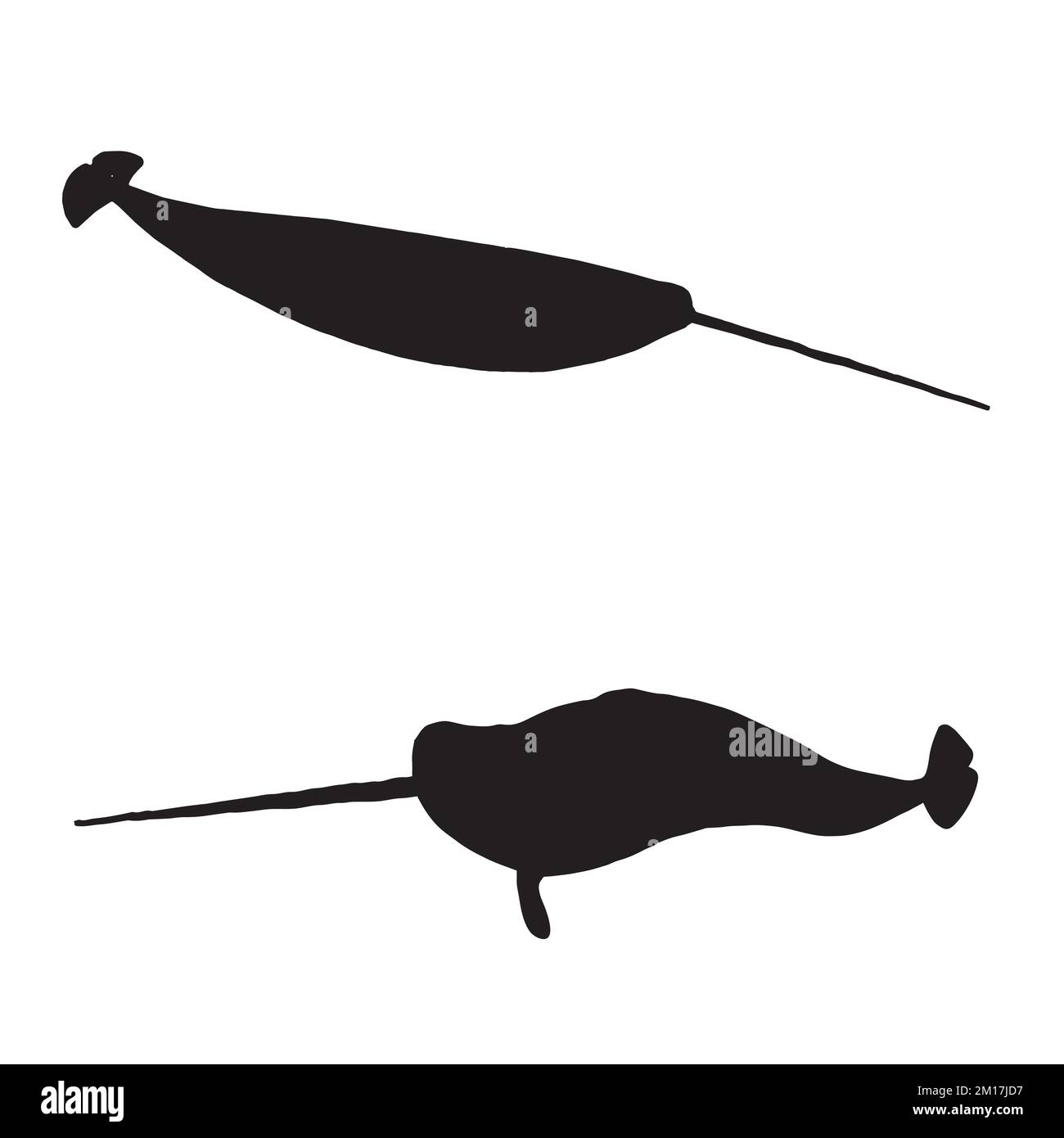 Vector Illustration of Narwhal Silhouette Stock Vector Image & Art - Alamy
