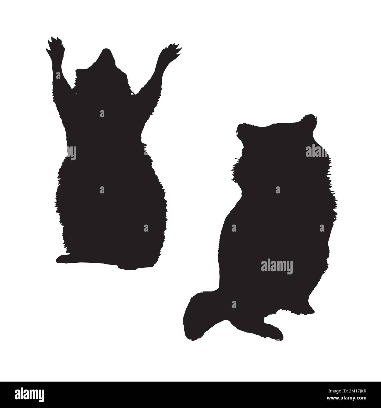Vector Illustration of Raccoon Silhouette Stock Vector Image & Art - Alamy