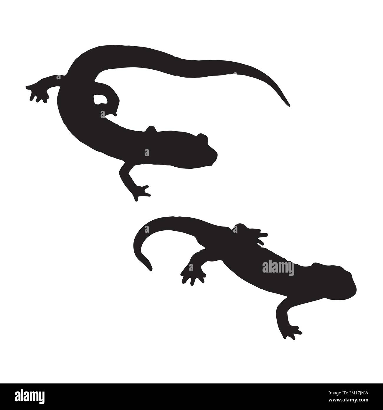 Vector Illustration of Salamander Silhouette Stock Vector Image & Art ...