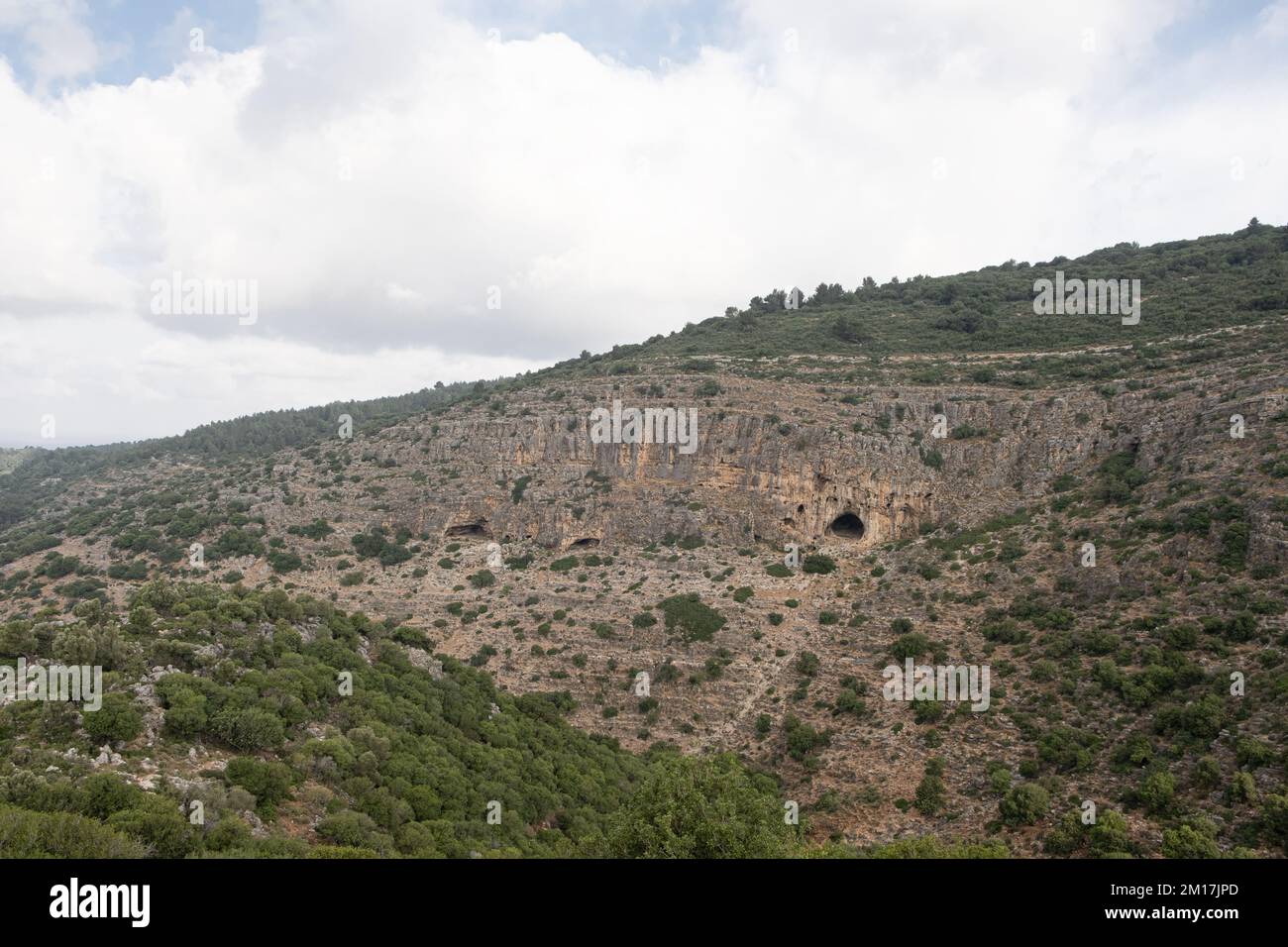 Aerial view of Galilee n Israel. Naturally Formed Rock with plants ...