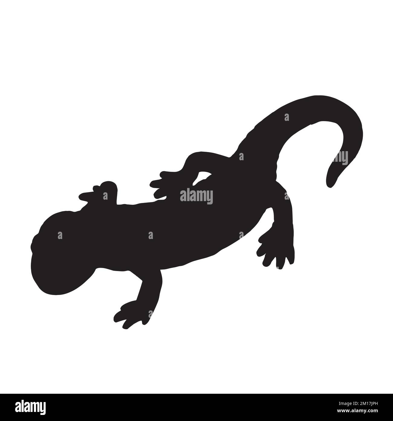 Vector Illustration of Salamander Silhouette Stock Vector Image & Art ...