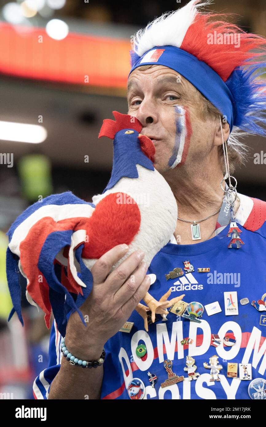 France fan attends the FIFA World Cup Qatar 2022 quarter final match ...