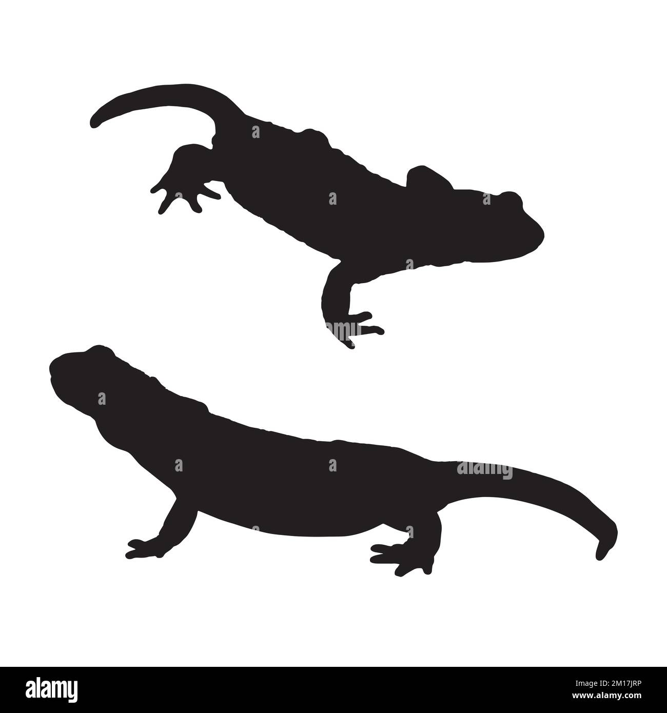 Vector Illustration of Salamander Silhouette Stock Vector Image & Art ...