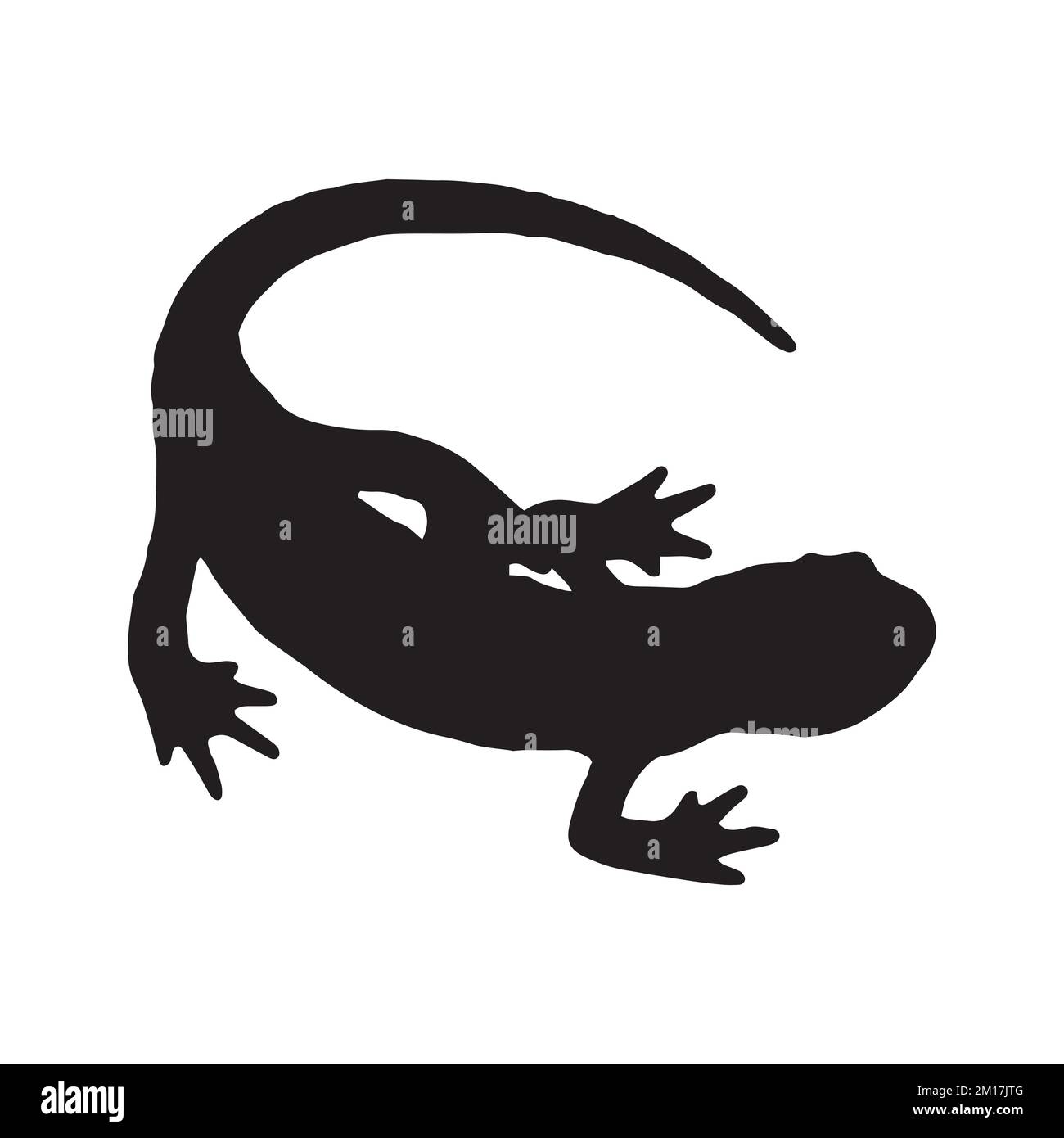 Slimy salamander Stock Vector Images - Alamy
