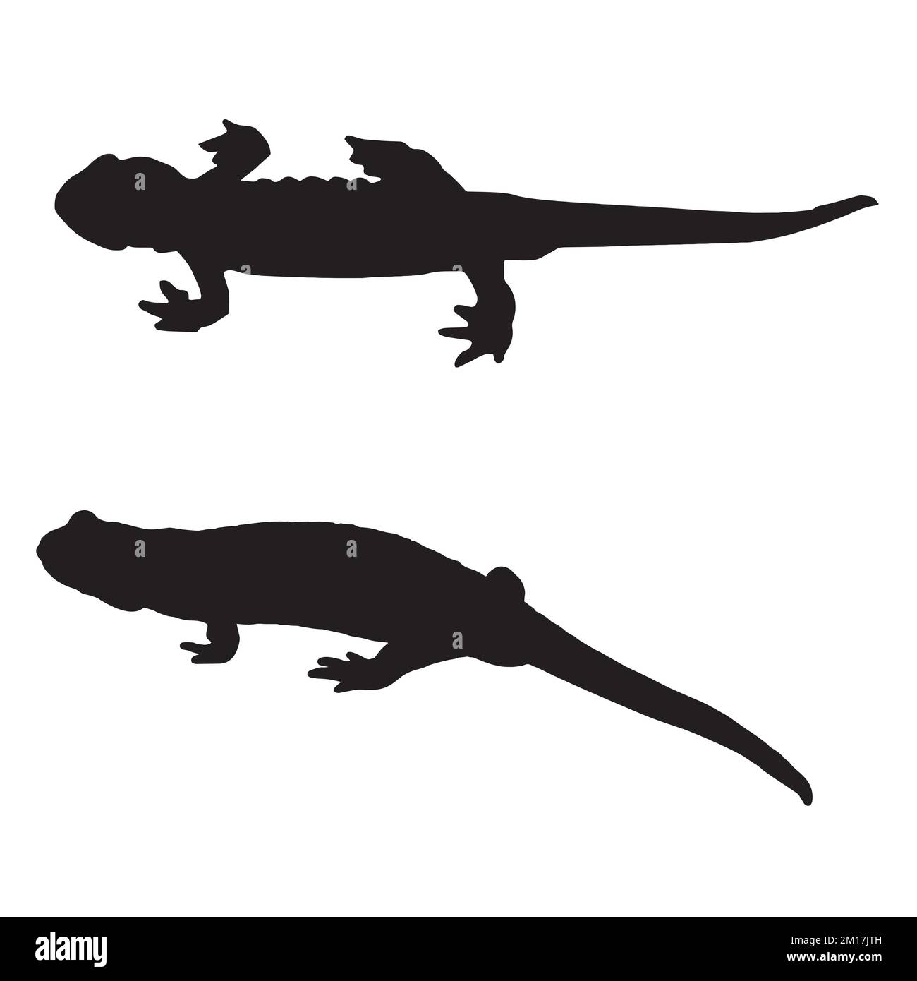 Vector Illustration of Salamander Silhouette Stock Vector Image & Art ...