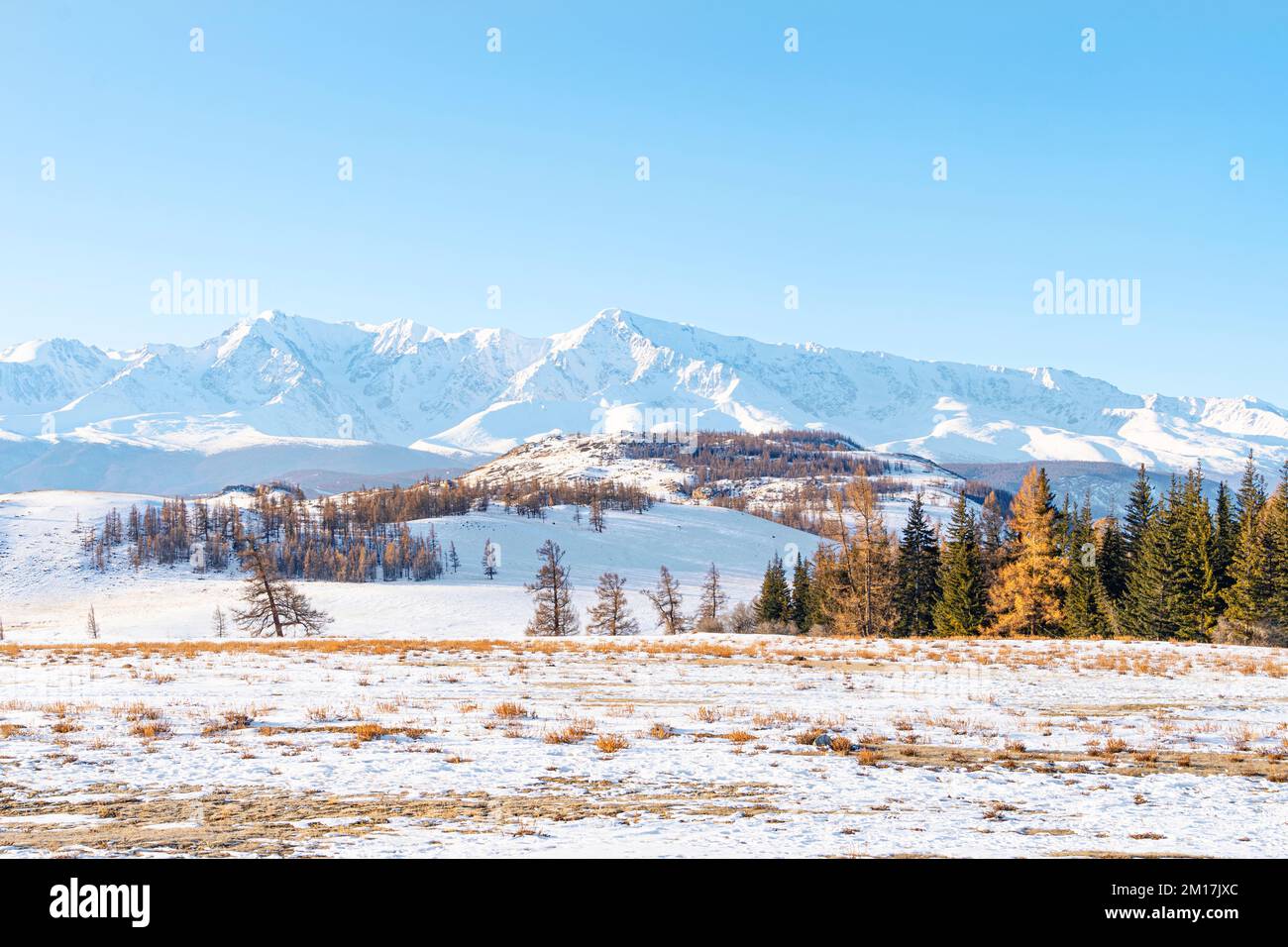 Early morning sunrise in steppes. Snow-covered pasture in the Altai ...