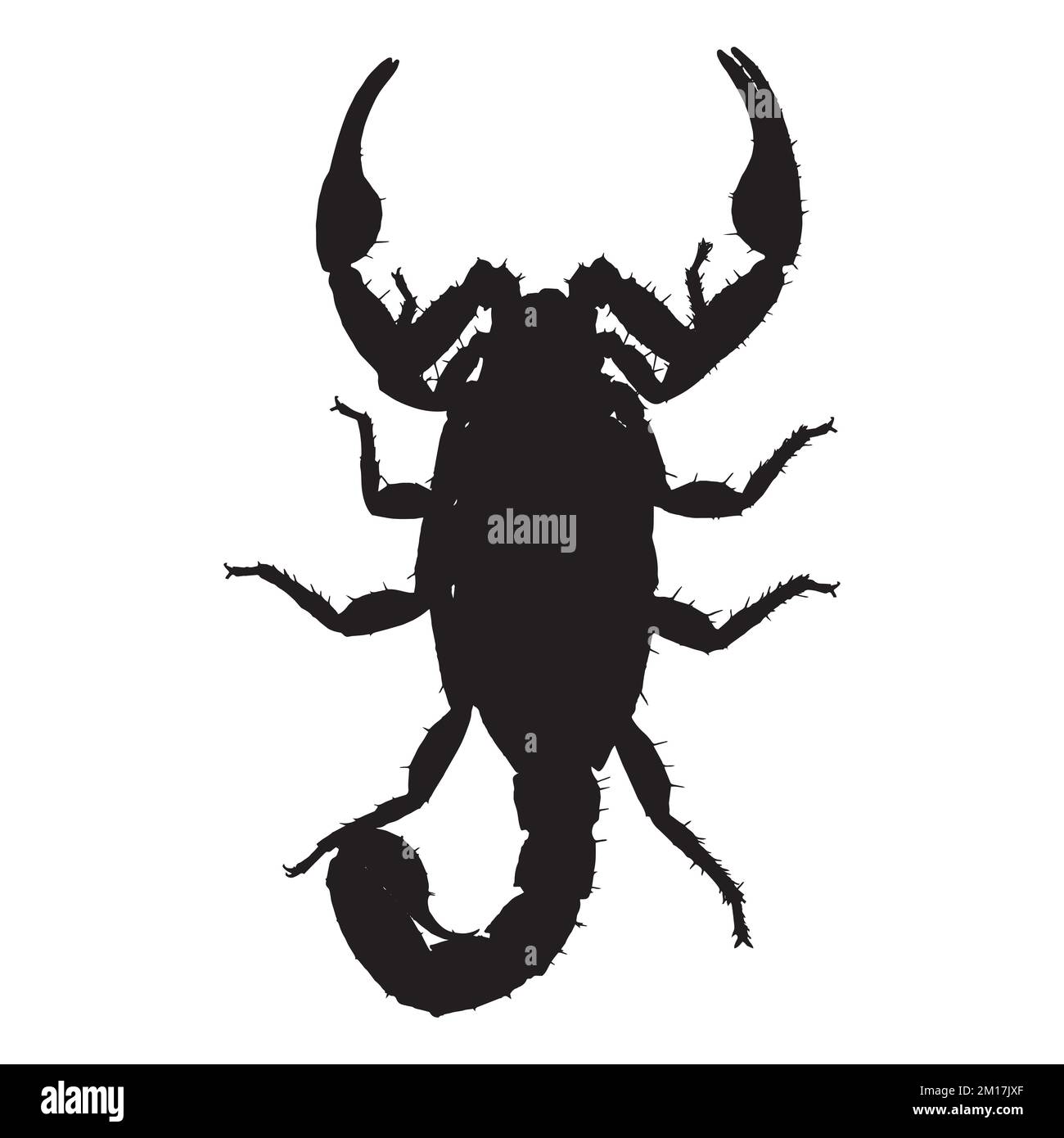 Vector Illustration of Scorpion Silhouette Stock Vector Image & Art - Alamy
