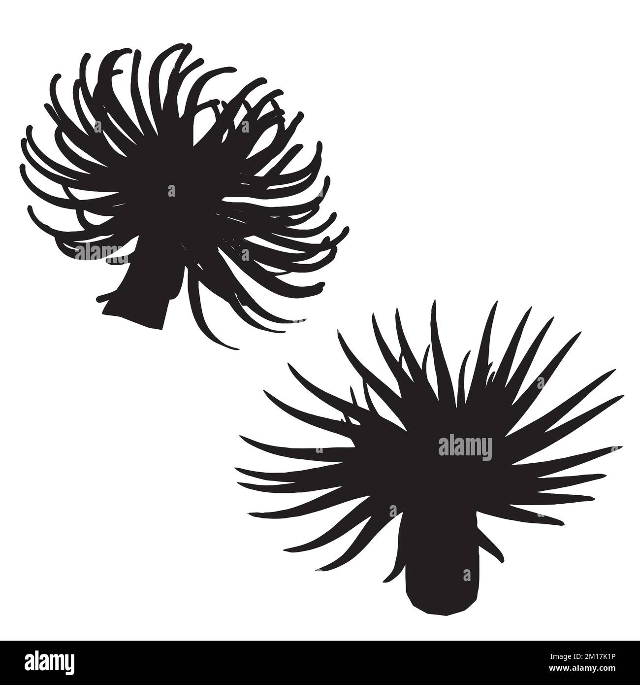 Aquatic biologist Stock Vector Images - Alamy