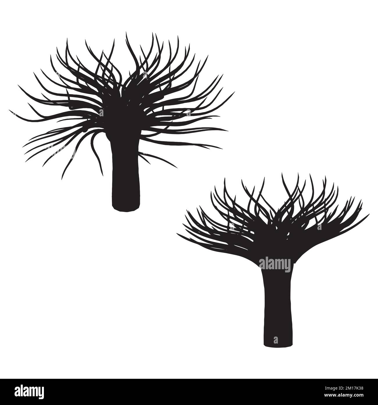 Vector Illustration of Sea Anemone Silhouette Stock Vector Image & Art ... Vector Illustration of Sea Anemone Silhouette Stock Vector Image & Art ...