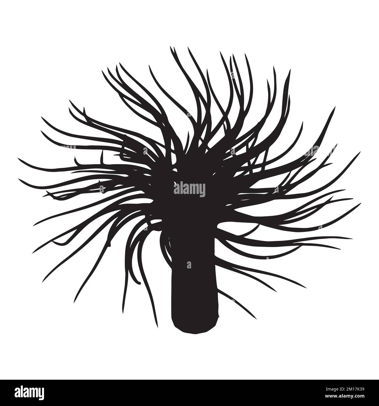 Vector Illustration of Sea Anemone Silhouette Stock Vector Image & Art ...