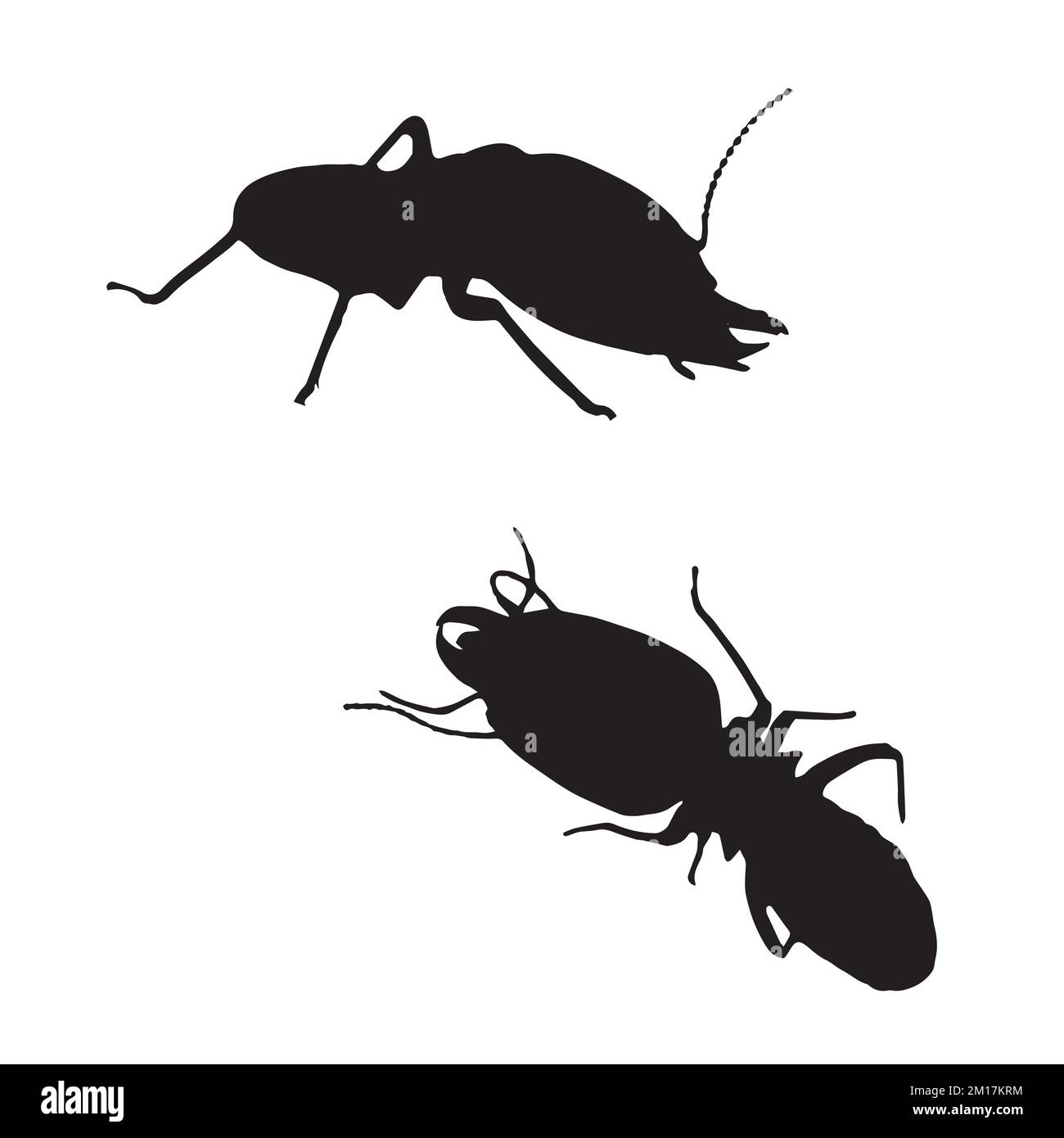 Vector Illustration of Termite Art Silhouette Stock Vector Image & Art ...