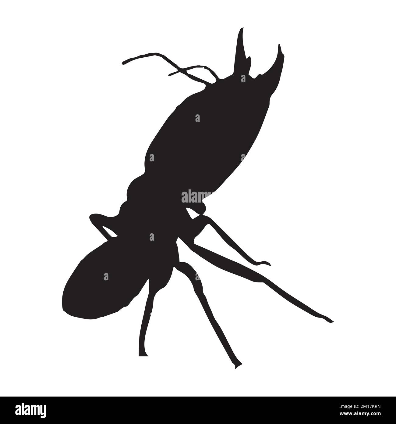 Vector Illustration of Termite Art Silhouette Stock Vector Image & Art ...