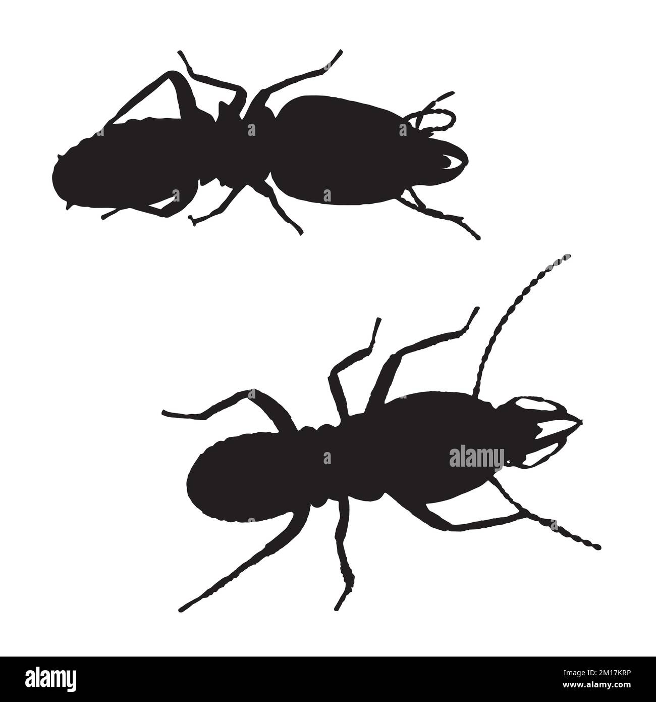 Vector Illustration of Termite Art Silhouette Stock Vector Image & Art ...