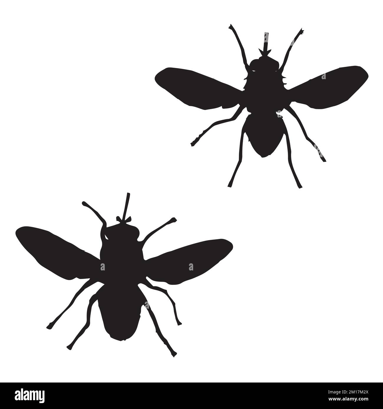 Vector Illustration of Tsetse Fly Silhouette Stock Vector Image & Art ...