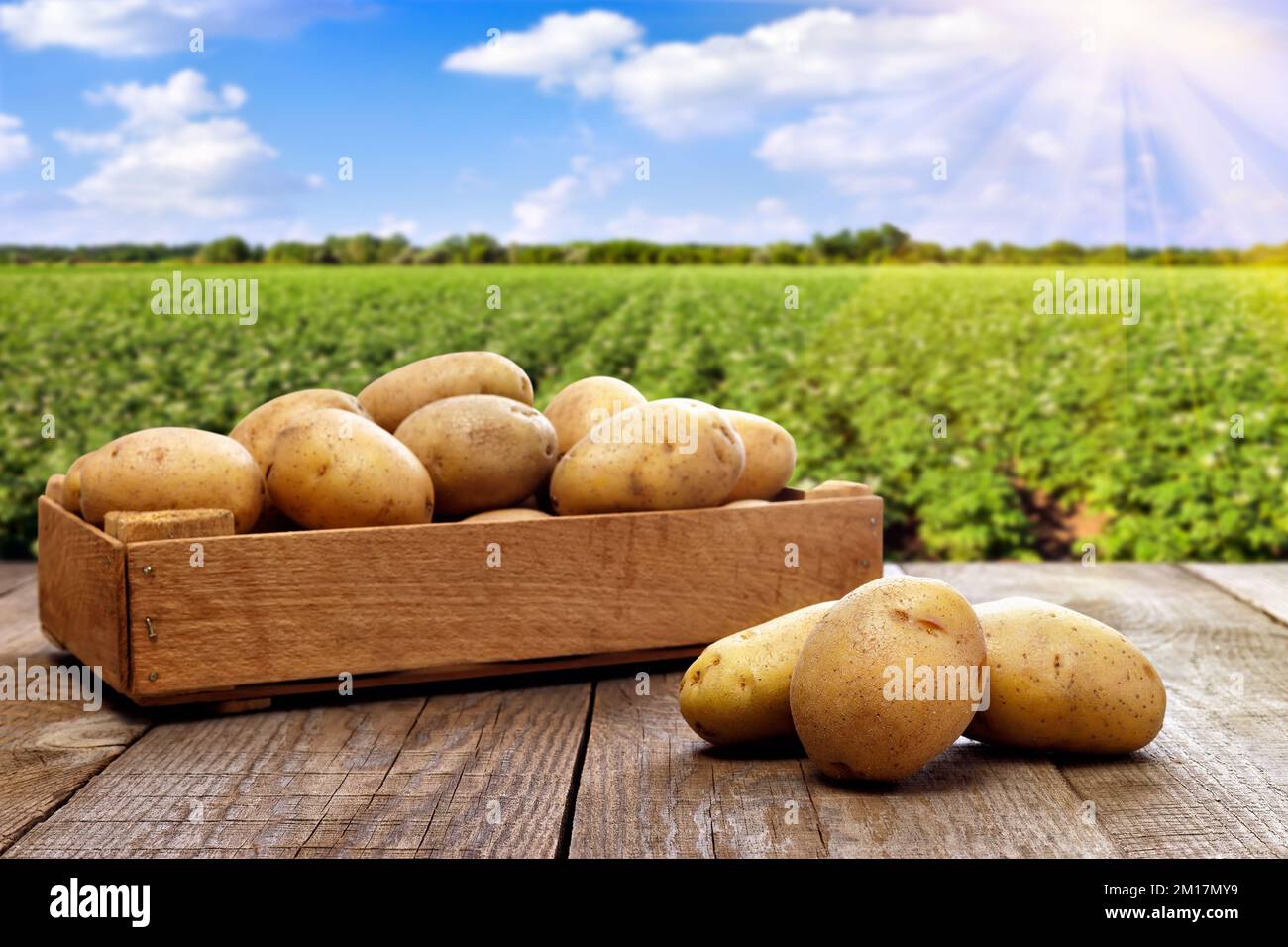 Potatoes crate hi-res stock photography and images - Alamy