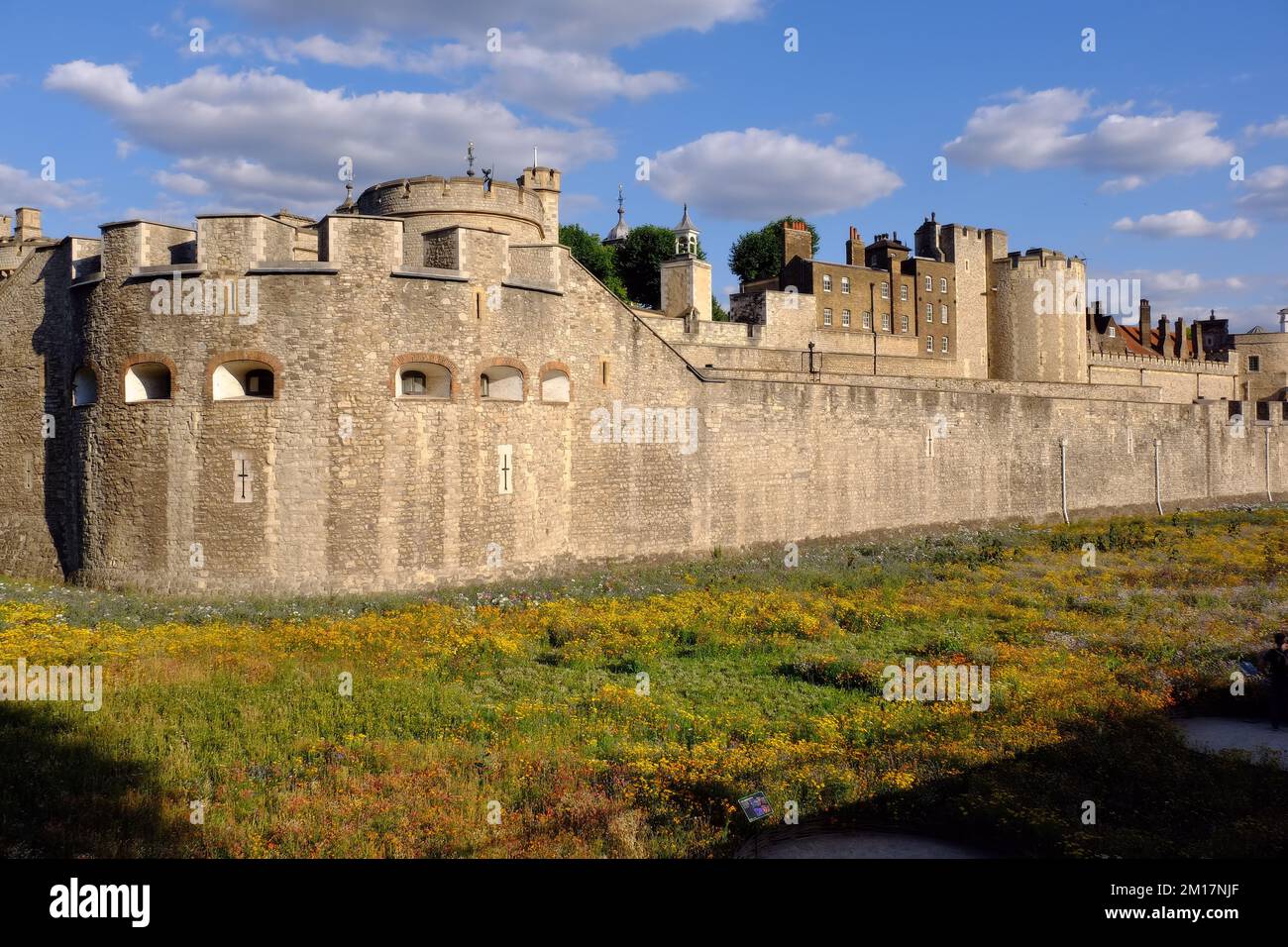 Queen Elizabeth II Platinum Jubilee: Tower of London Superbloom; a ...