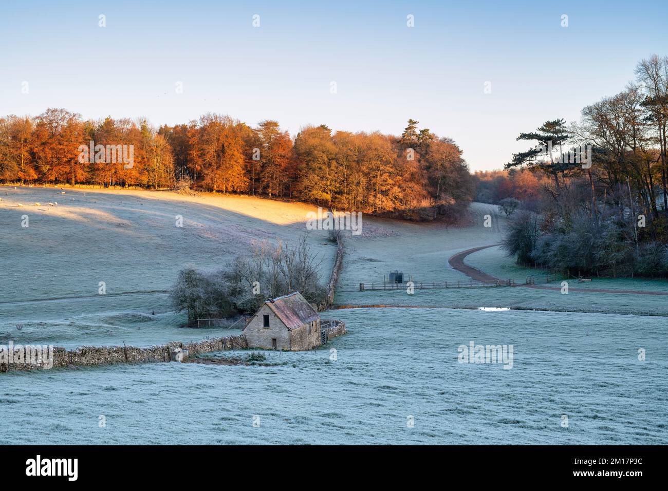 Old barn and woodland in the frost from the footpath on the Hatherop ...
