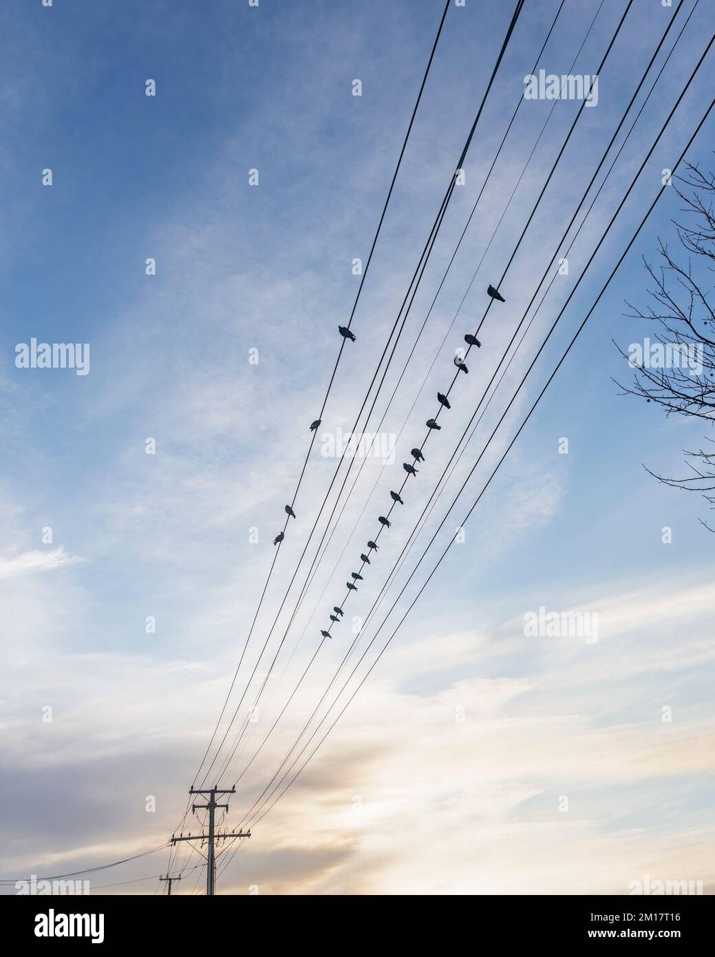 Group vertical format hi-res stock photography and images - Alamy