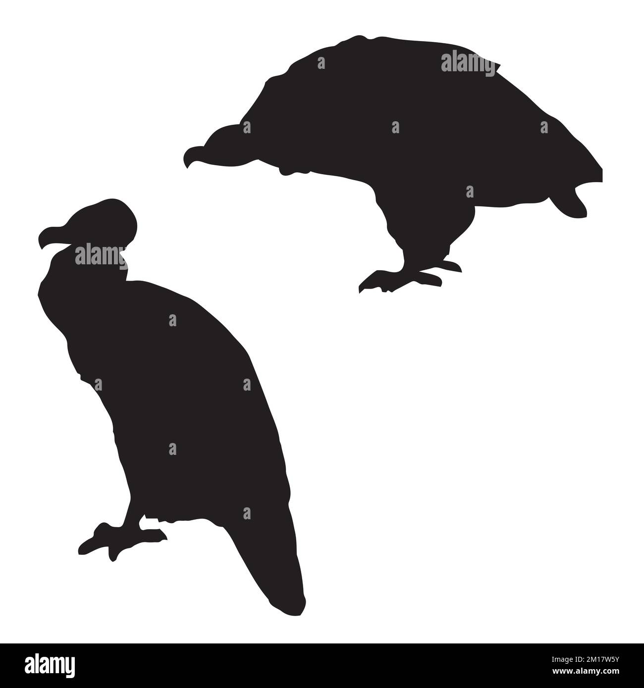 Vector Illustration of Vulture Silhouette Stock Vector Image & Art - Alamy
