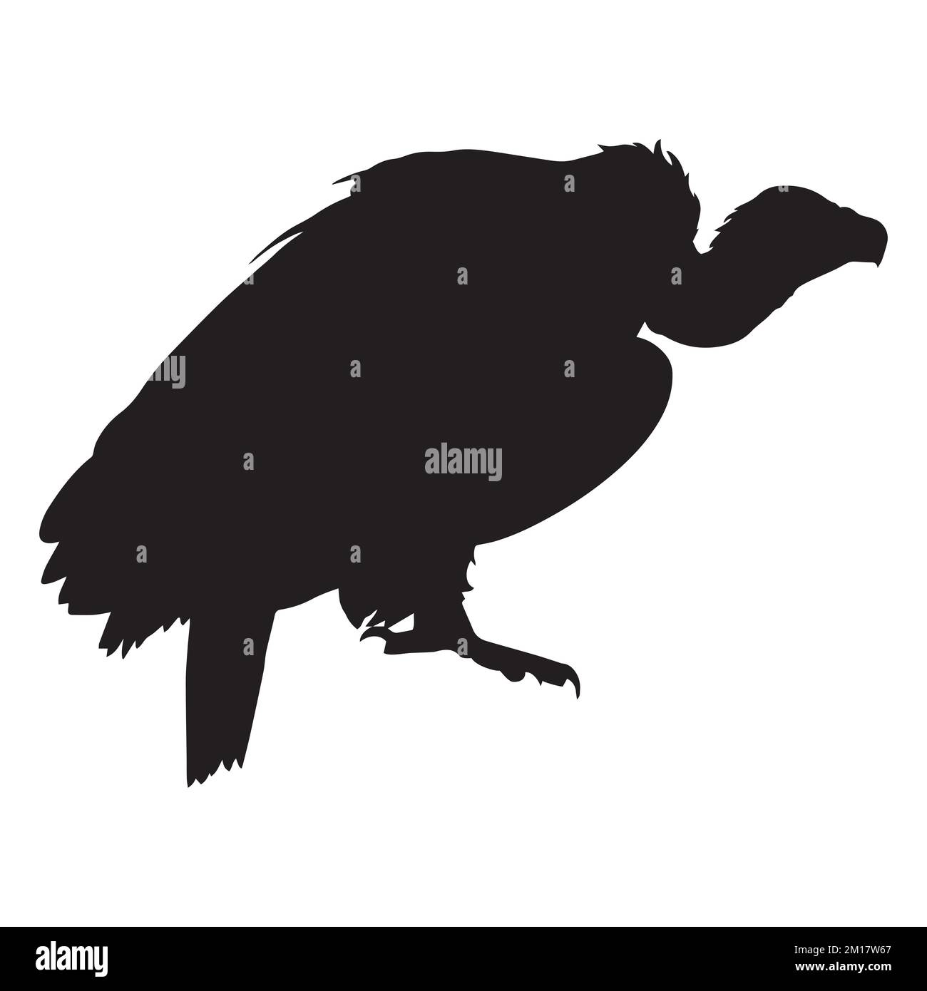 Vector Illustration of Vulture Silhouette Stock Vector Image & Art - Alamy