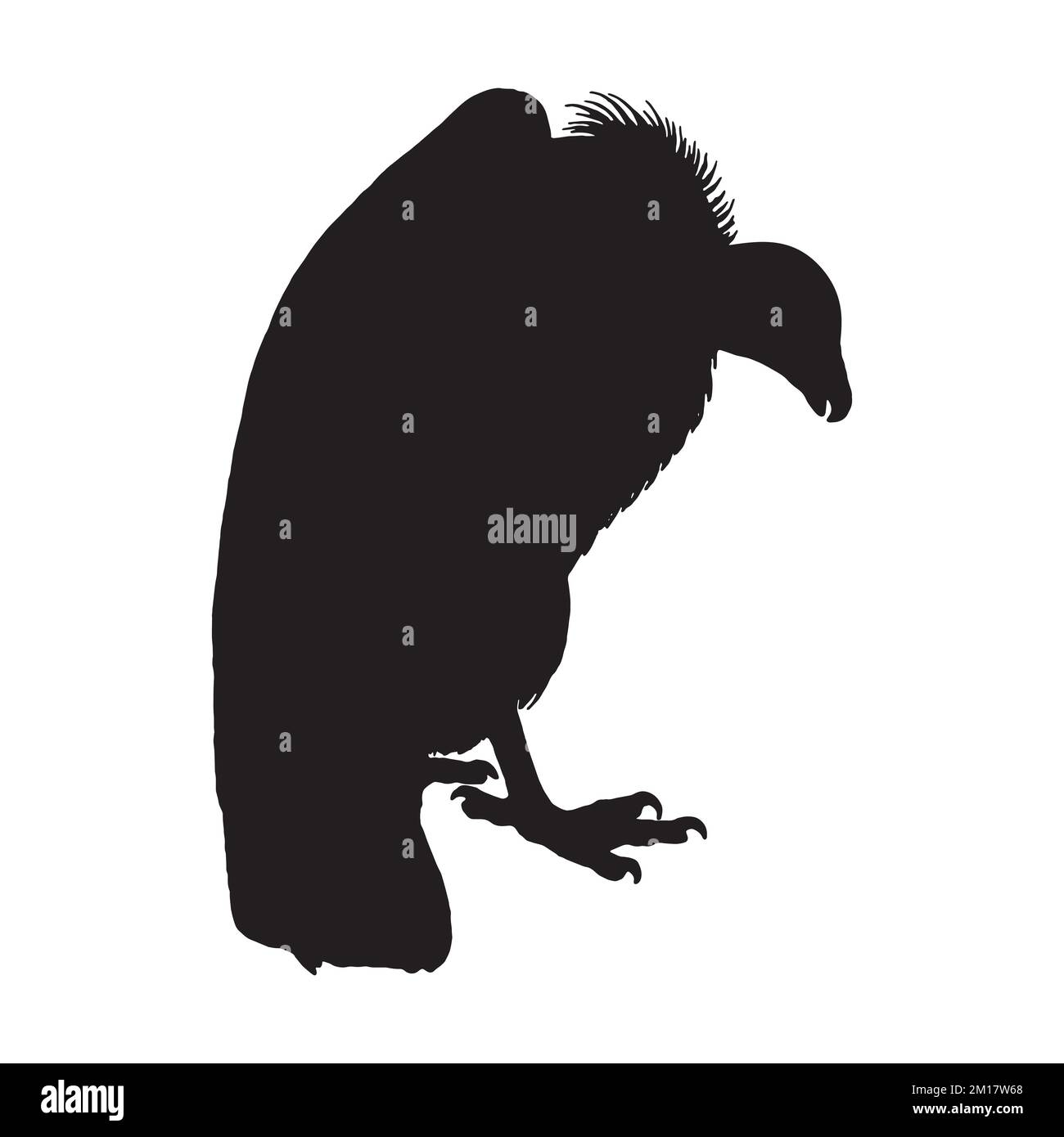 Vector Illustration of Vulture Silhouette Stock Vector Image & Art - Alamy
