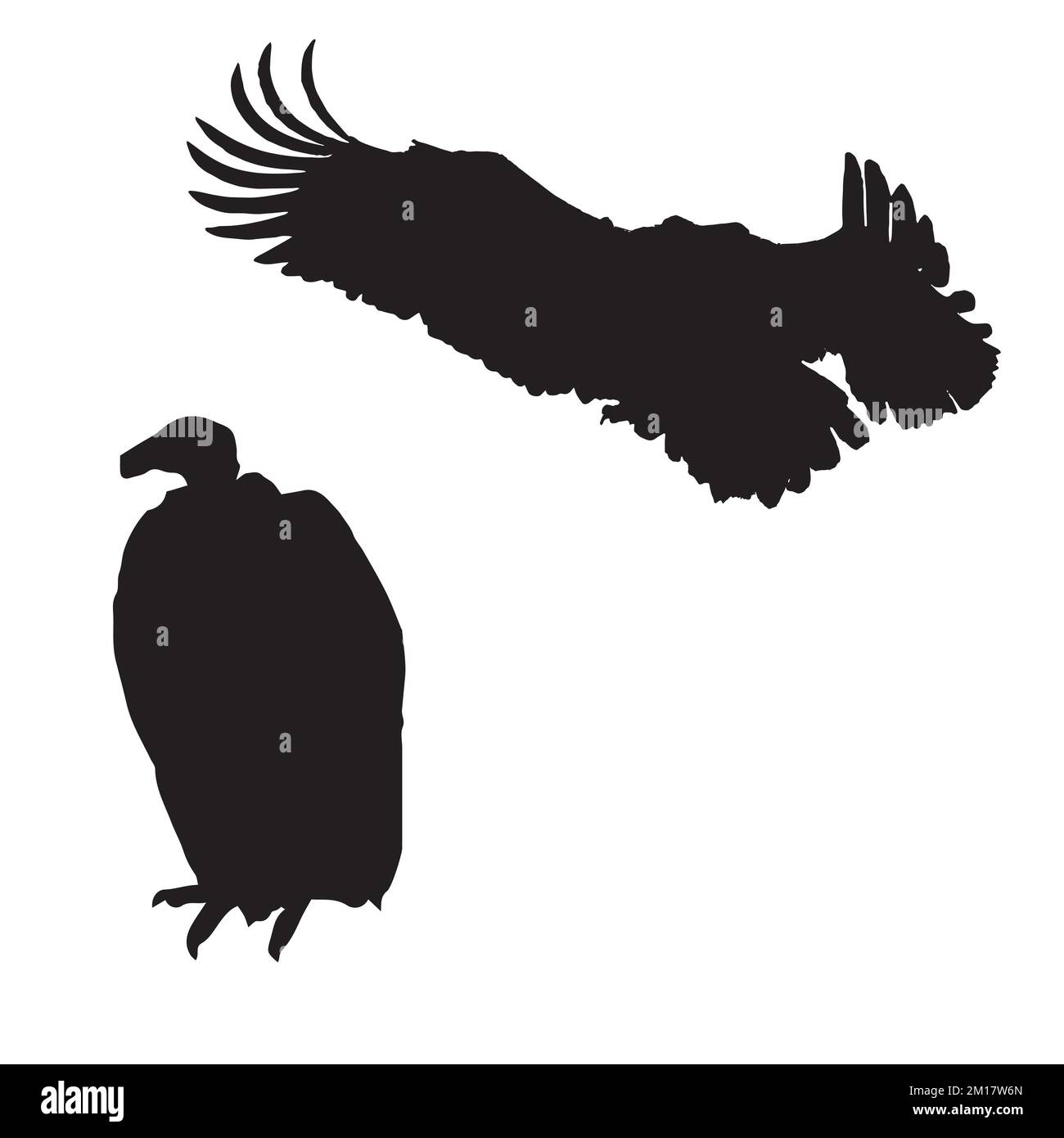Vector Illustration of Vulture Silhouette Stock Vector Image & Art - Alamy