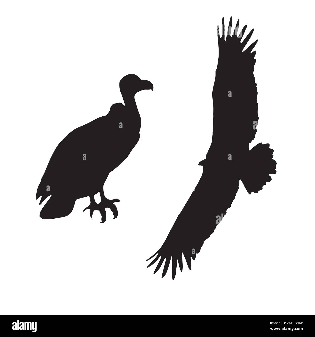 Vector Illustration of Vulture Silhouette Stock Vector Image & Art - Alamy