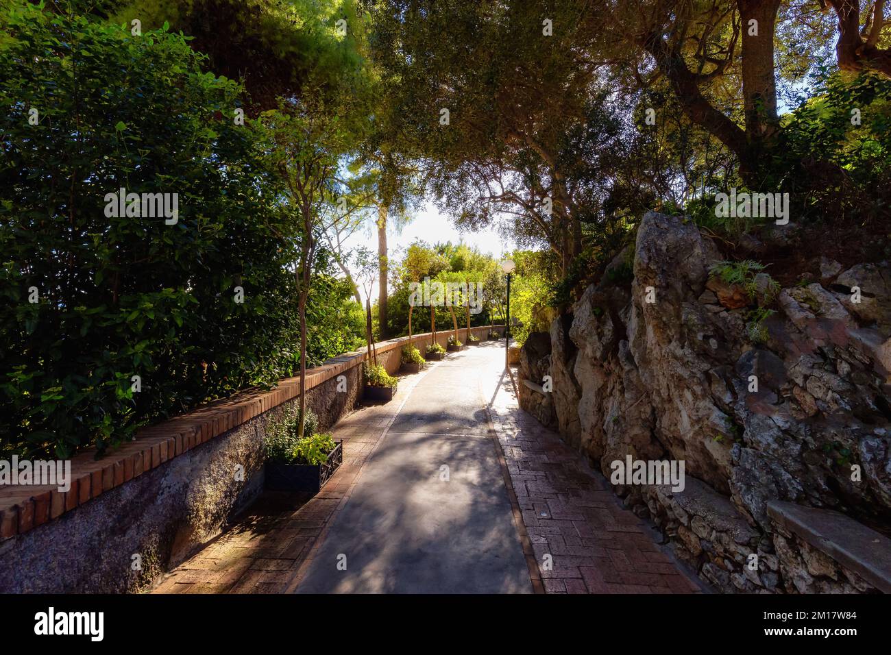 Path in a Garden with trees and flowers. Capri Island, Italy Stock ...
