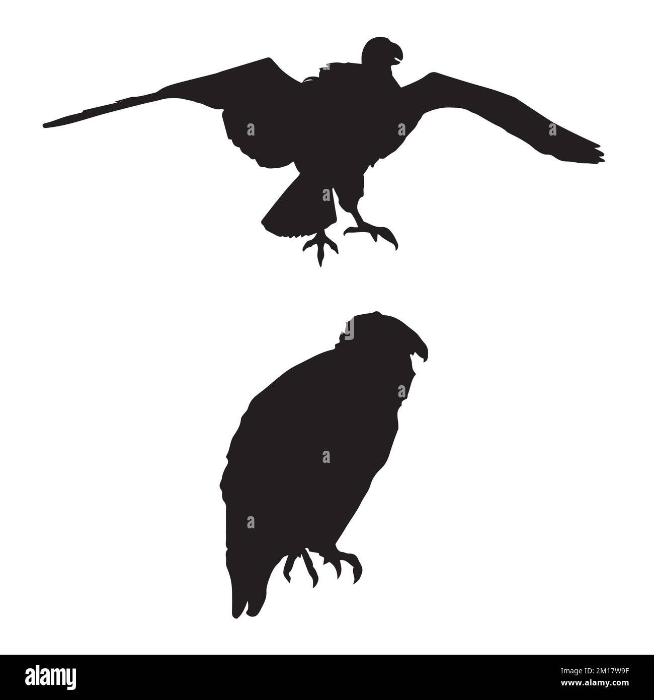 Vector Illustration of Vulture Silhouette Stock Vector Image & Art - Alamy