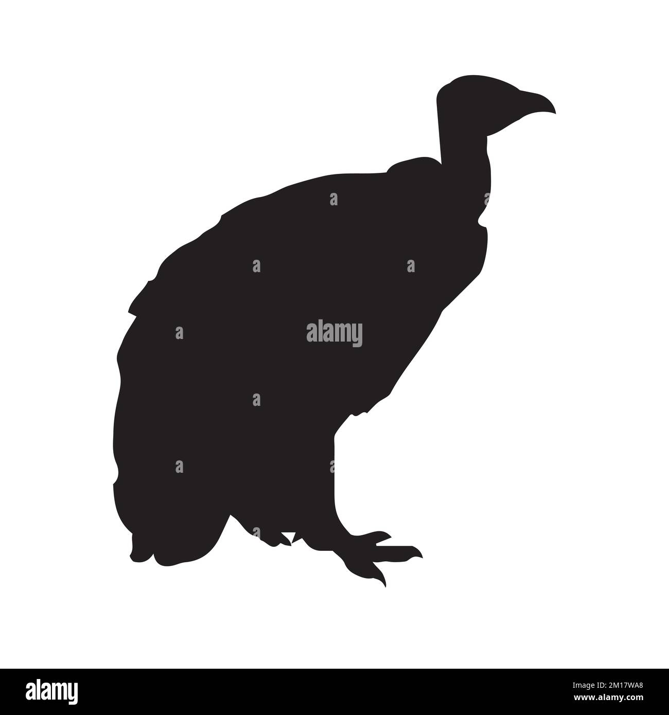Vector Illustration of Vulture Silhouette Stock Vector Image & Art - Alamy