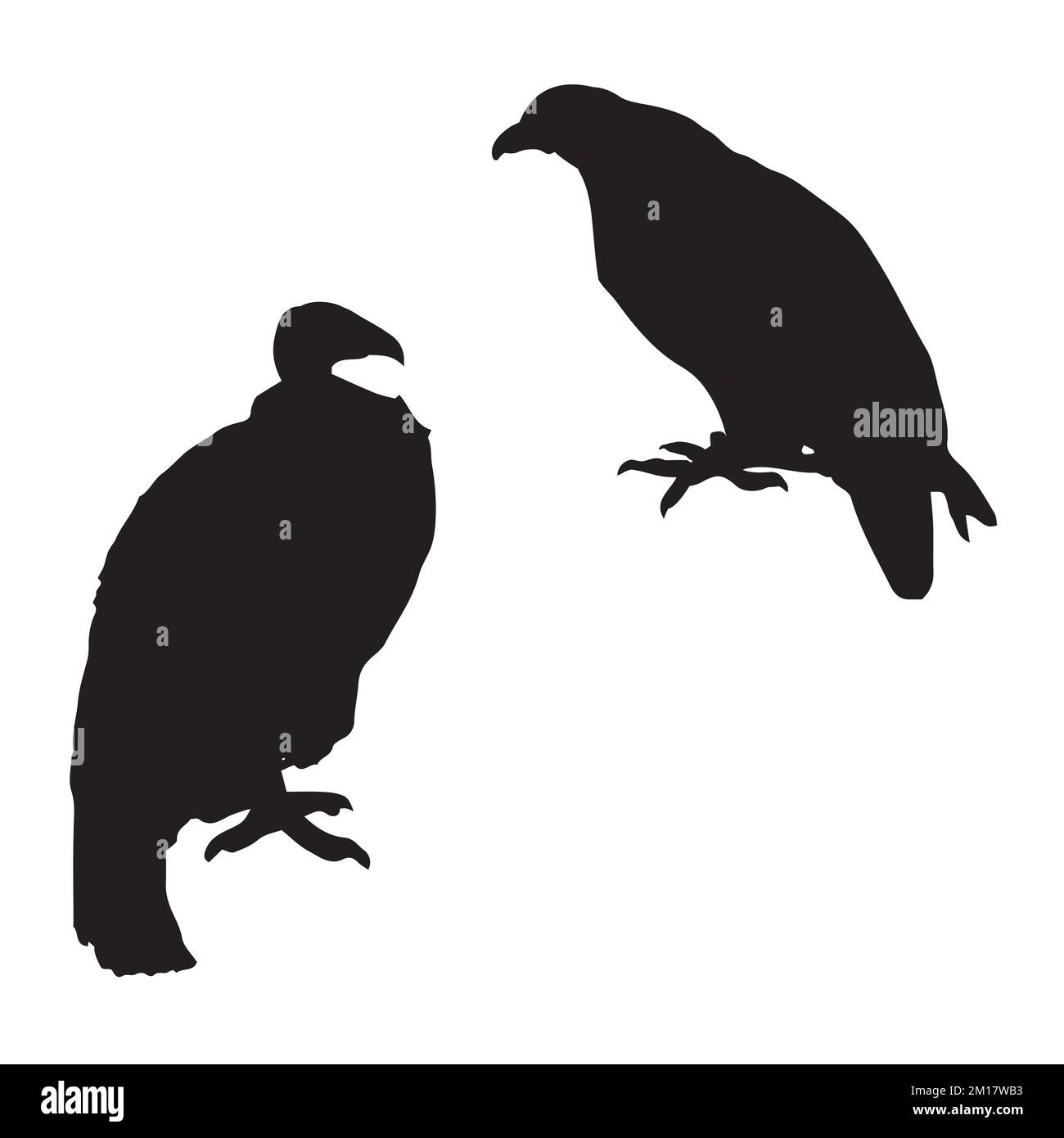 Vector Illustration of Vulture Silhouette Stock Vector Image & Art - Alamy