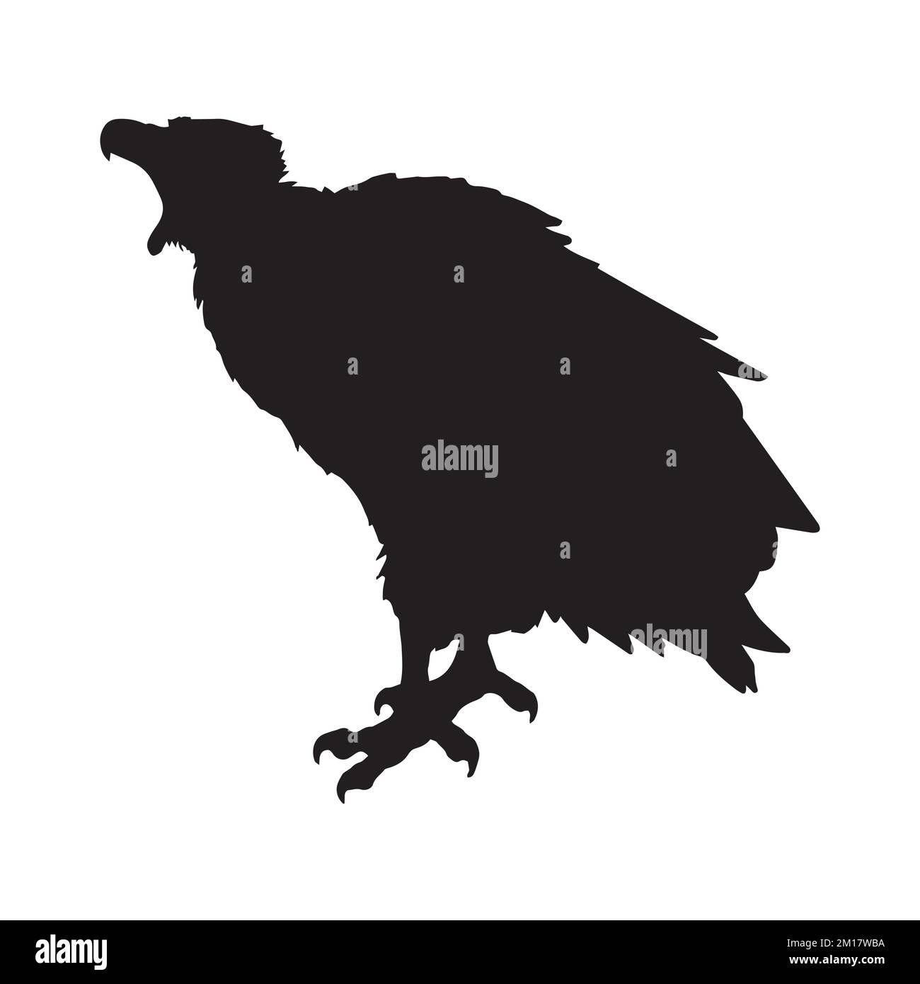 Black vulture art hi-res stock photography and images - Alamy