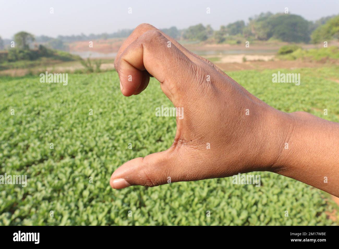 Ecological gesture hi-res stock photography and images - Alamy