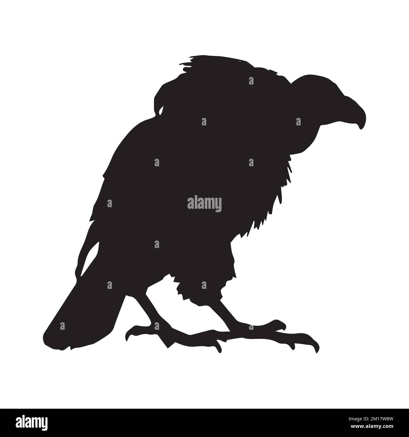 Vector Illustration of Vulture Silhouette Stock Vector Image & Art - Alamy