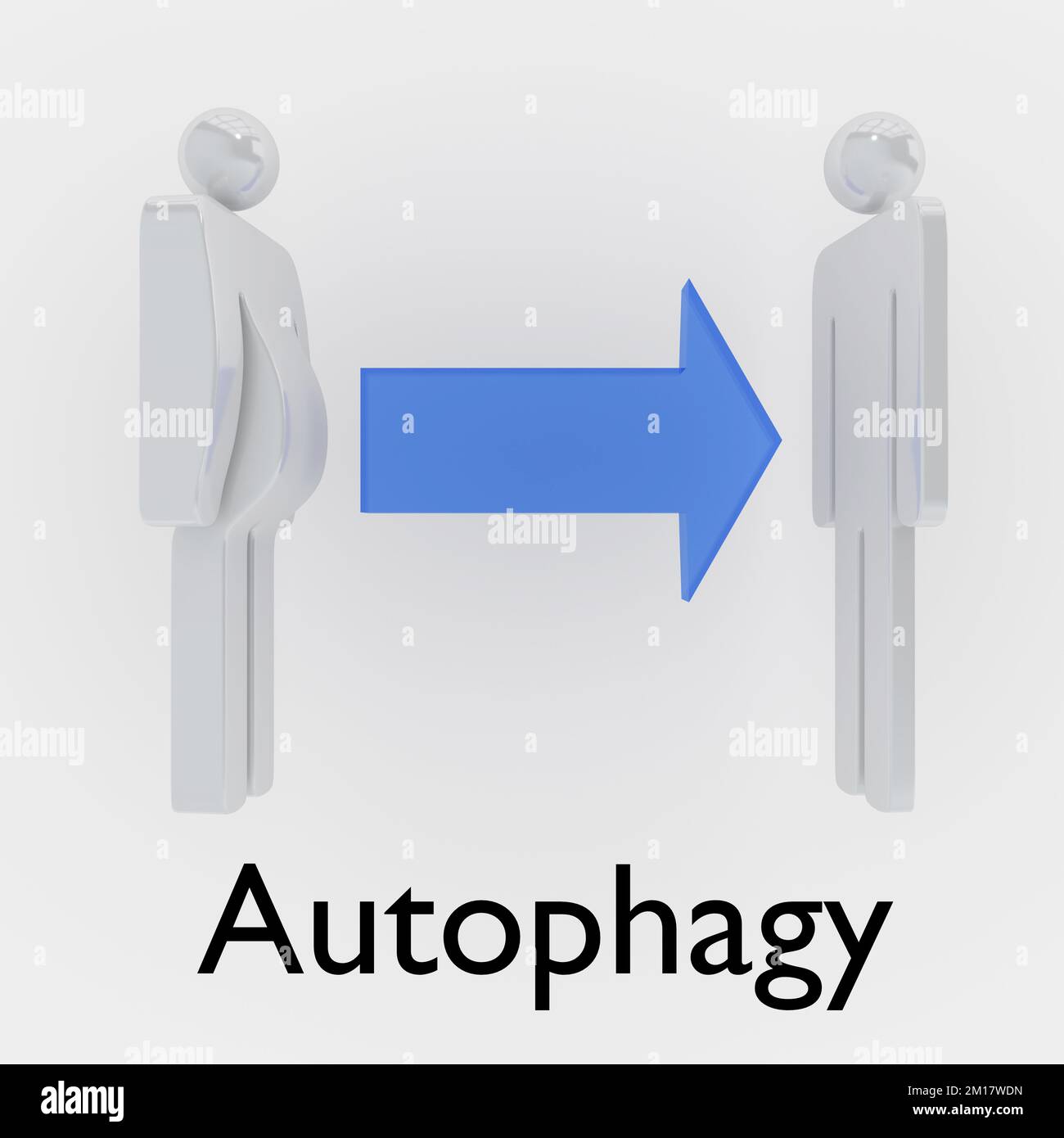 3D illustration of a blue arrow symbolically transforming an overweight ...