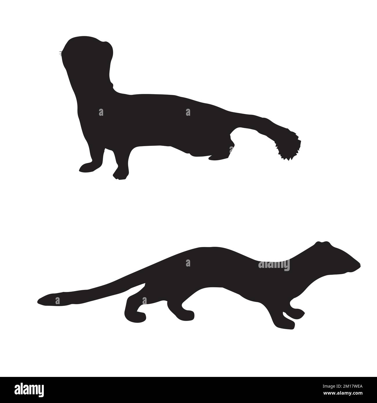 Weasel logo Stock Vector Images - Alamy