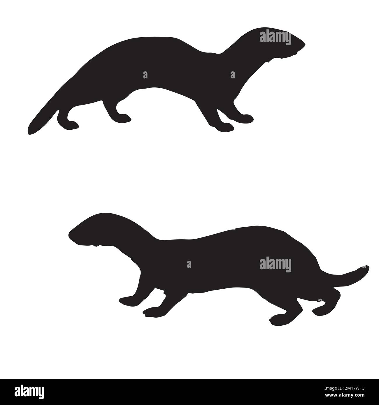 Vector Illustration of Weasel Silhouette Stock Vector Image & Art - Alamy