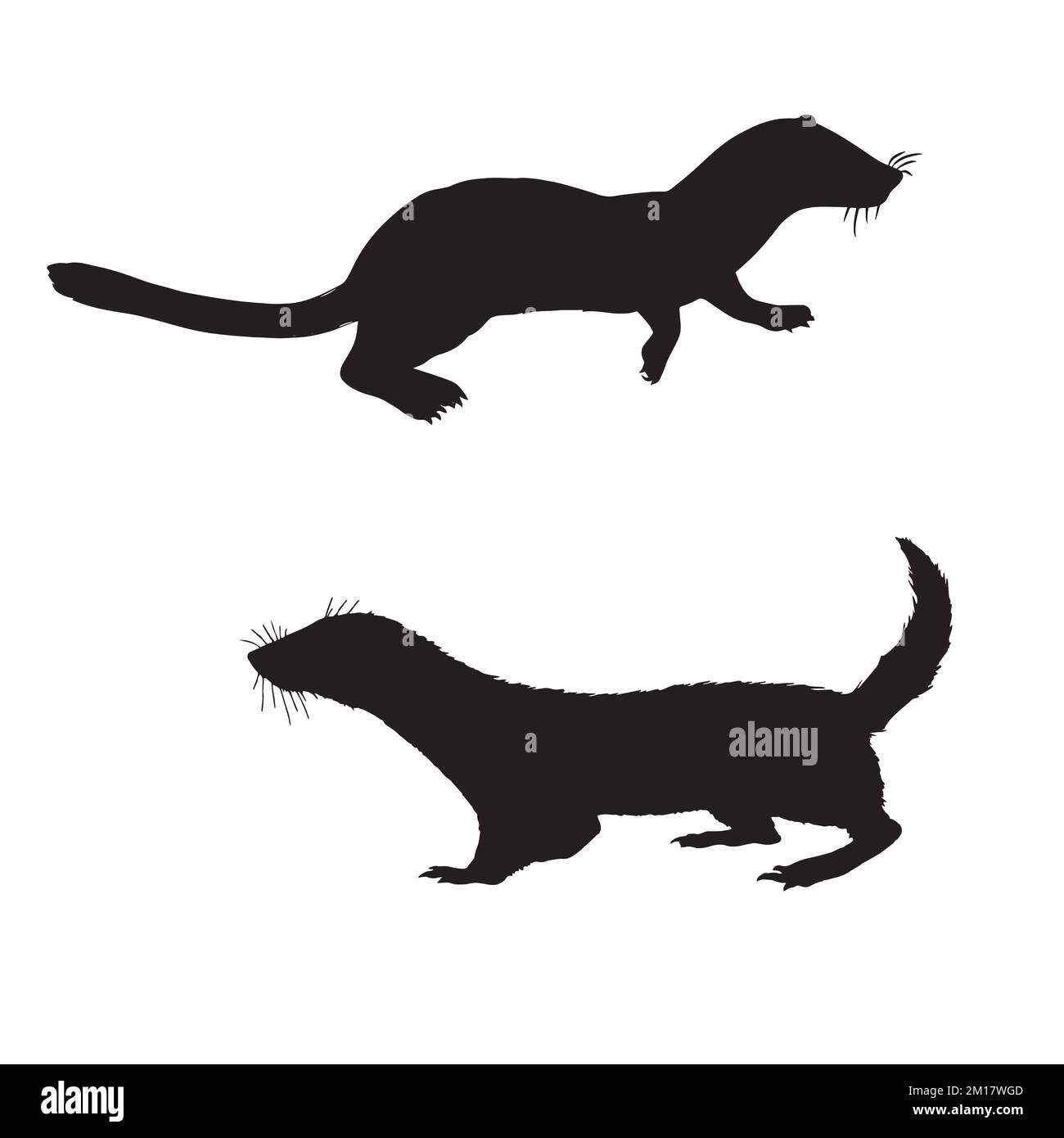 Vector Illustration of Weasel Silhouette Stock Vector Image & Art - Alamy