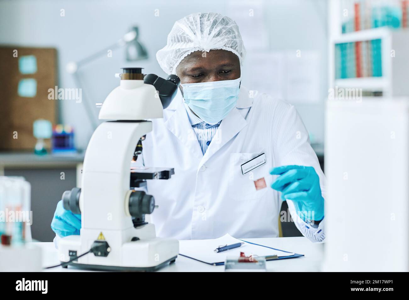Portrait of black scientist doing blood tests in medical laboratory at ...
