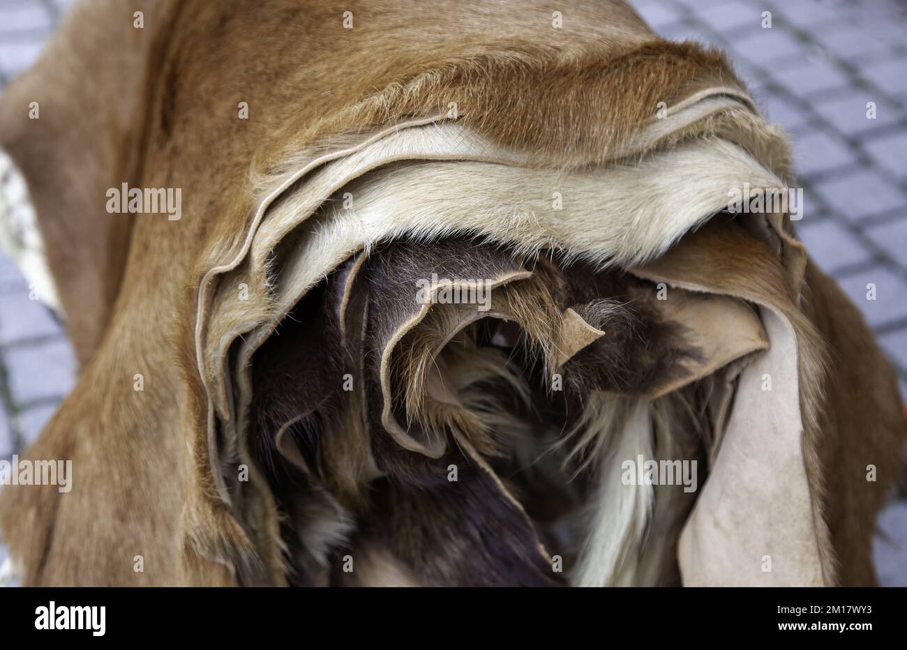 Detail of animal skins in an old market Stock Photo - Alamy