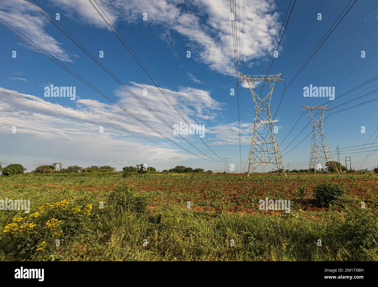 electrical power poles countryside Stock Photo - Alamy