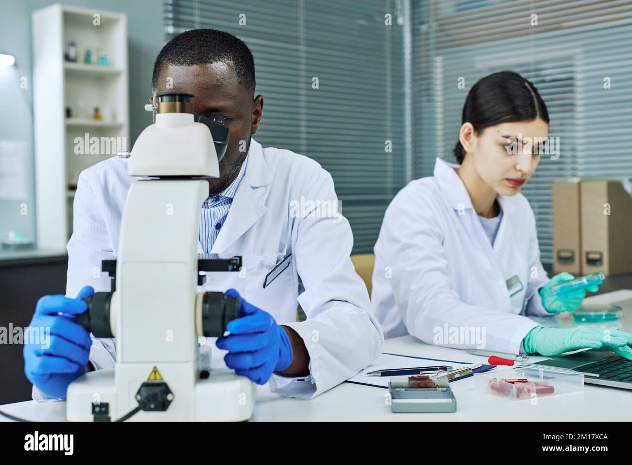 Portrait of two ethnic young people working in medical laboratory ...