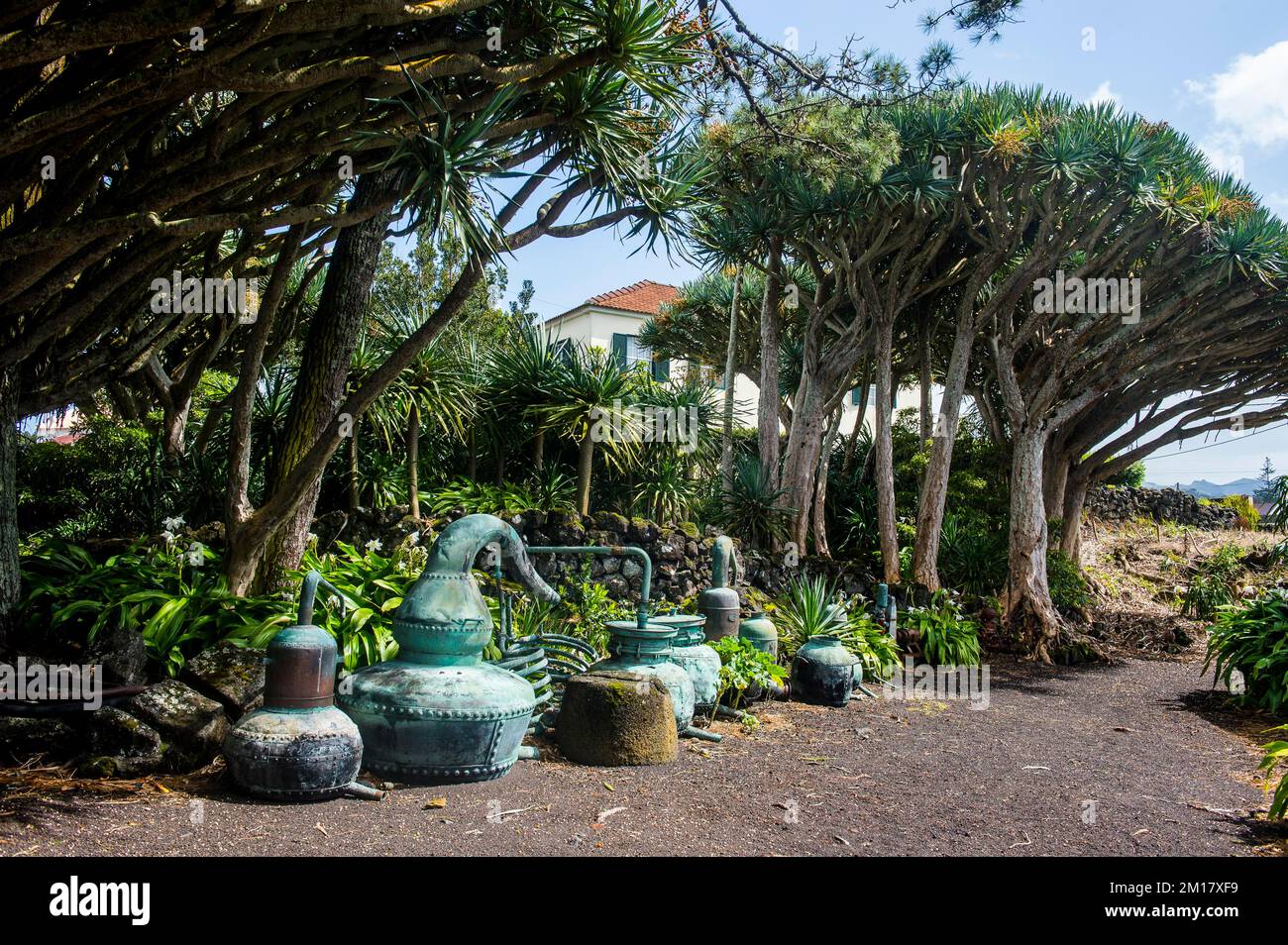 Old wine barrels, Wine museum of Pico, Island of Pico, Azores, Portugal ...