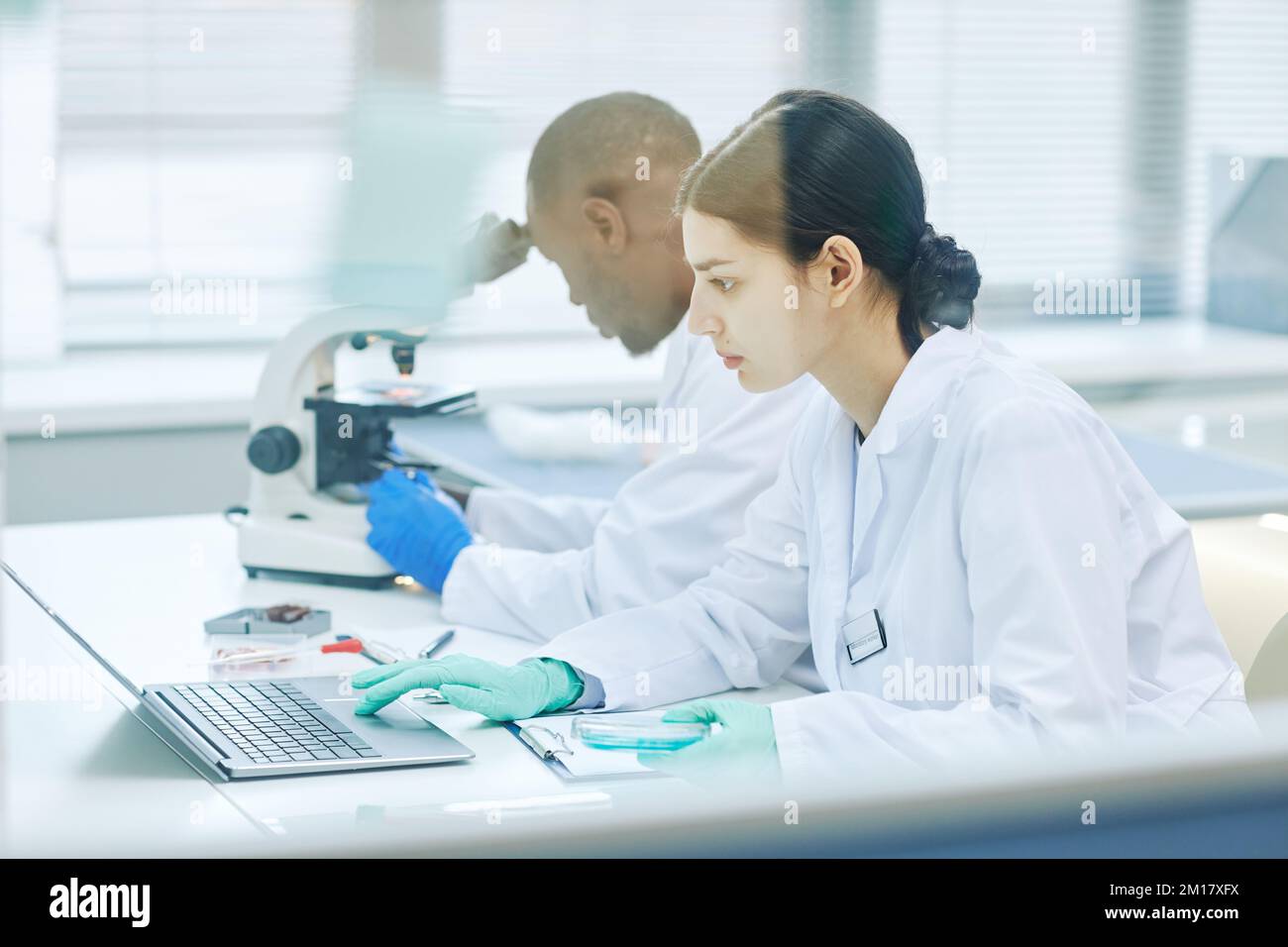 Side view portrait of Middle Eastern young woman working in medical ...