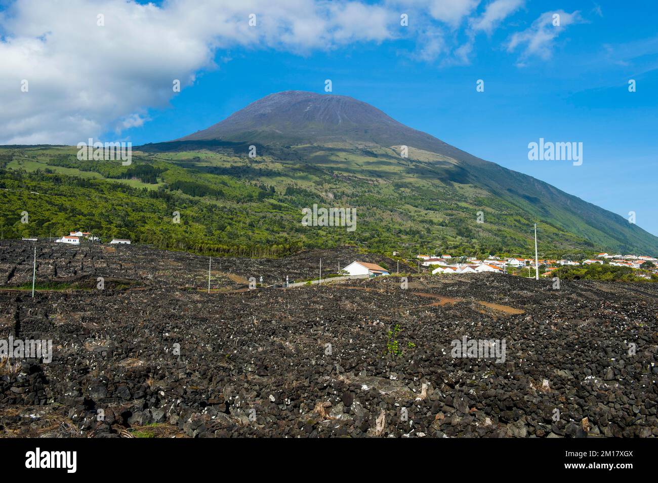 Ponta do Pico highest mountain of Portugal, Island of Pico, Azores, Portugal, Europe Stock Photo ...