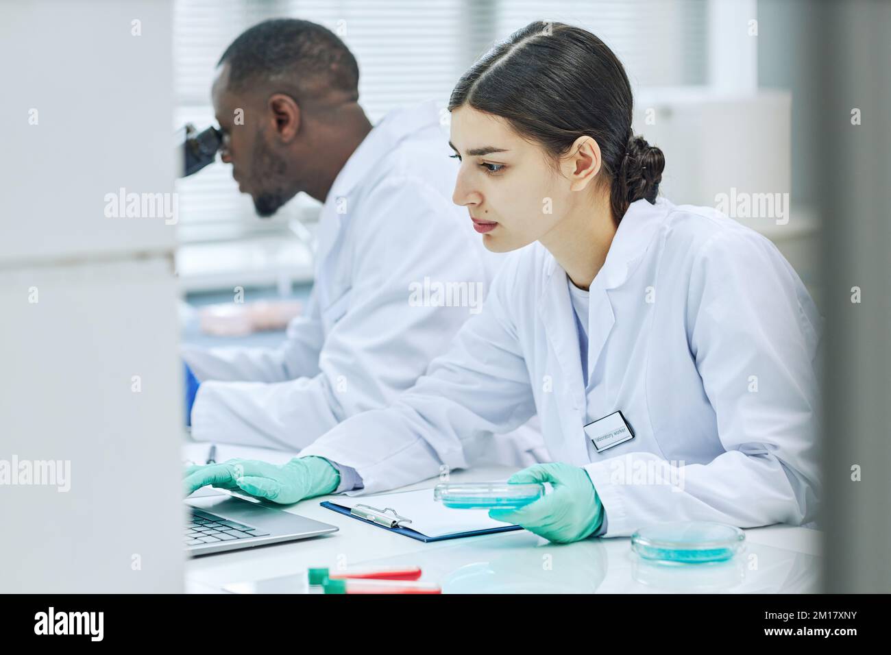 Side view portrait of Middle Eastern young woman working on medical ...