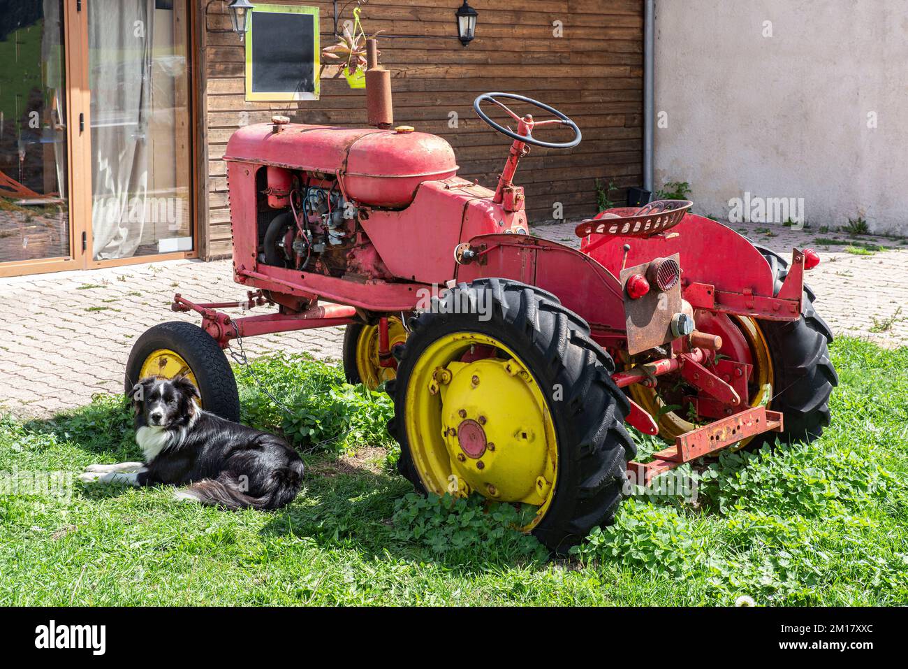 An old red tractor parked with a dog lying next to it Stock Photo - Alamy