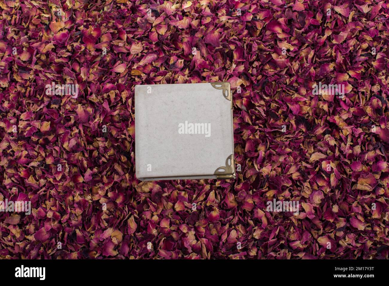 Model book placed on background of dried rose petals Stock Photo - Alamy