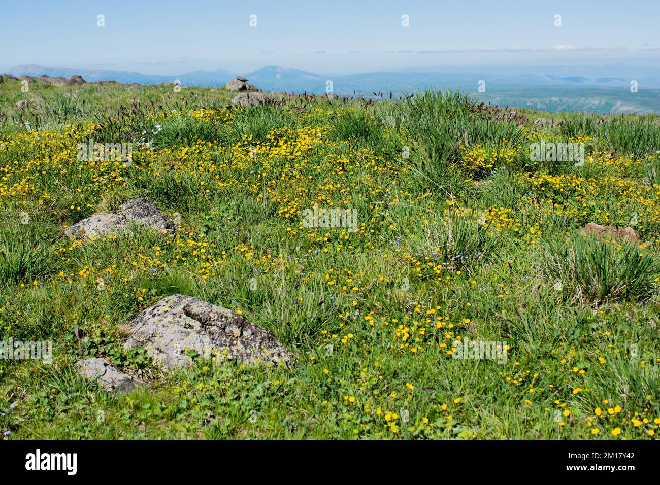 View of mountains in the highlands of Artvin in Turkey Stock Photo - Alamy