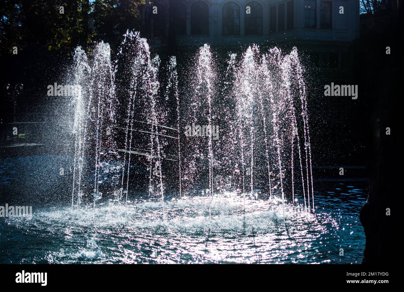 The fountains gushing sparkling water in a pool in a park Stock Photo ...